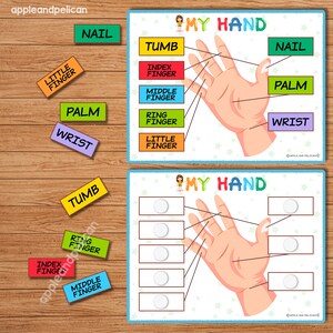 Body Parts Name Matching Learning Game Activity Printable Preschool ...