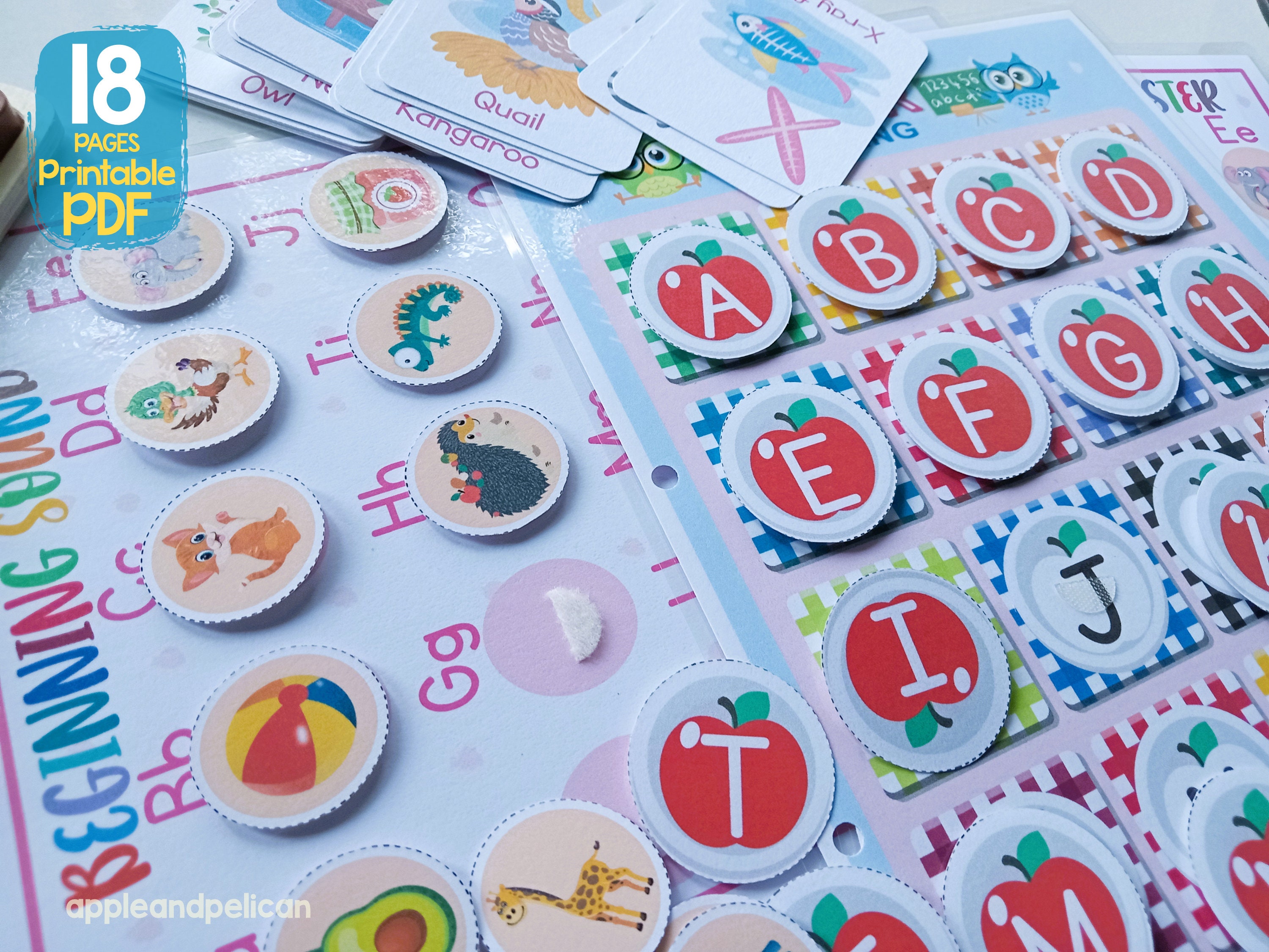 Beginning Sounds Practice Busy Binder, Alphabet Writing Activity ...
