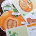 Pumpkin Anatomy Labeling Activity, Preschool Activity, Fall Activity ...