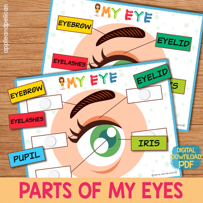 Body Parts Name Matching Learning Game Activity Printable - Etsy