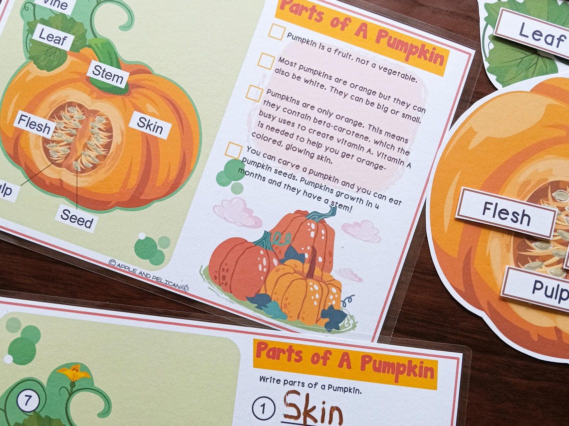 Pumpkin Anatomy Labeling Activity, Preschool Activity, Fall Activity ...