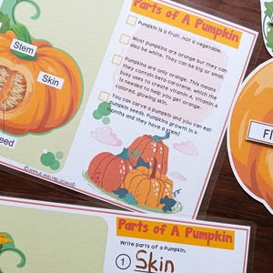 Pumpkin Anatomy Labeling Activity, Preschool Activity, Fall Activity ...