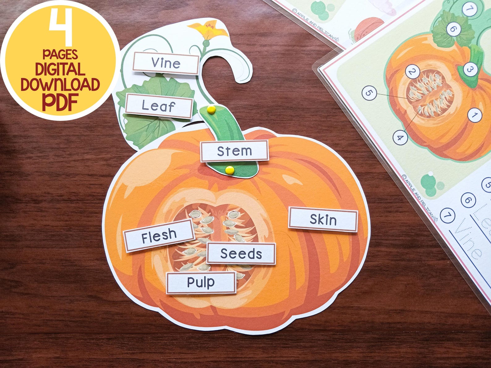 Pumpkin Anatomy Labeling Activity, Preschool Activity, Fall Activity ...