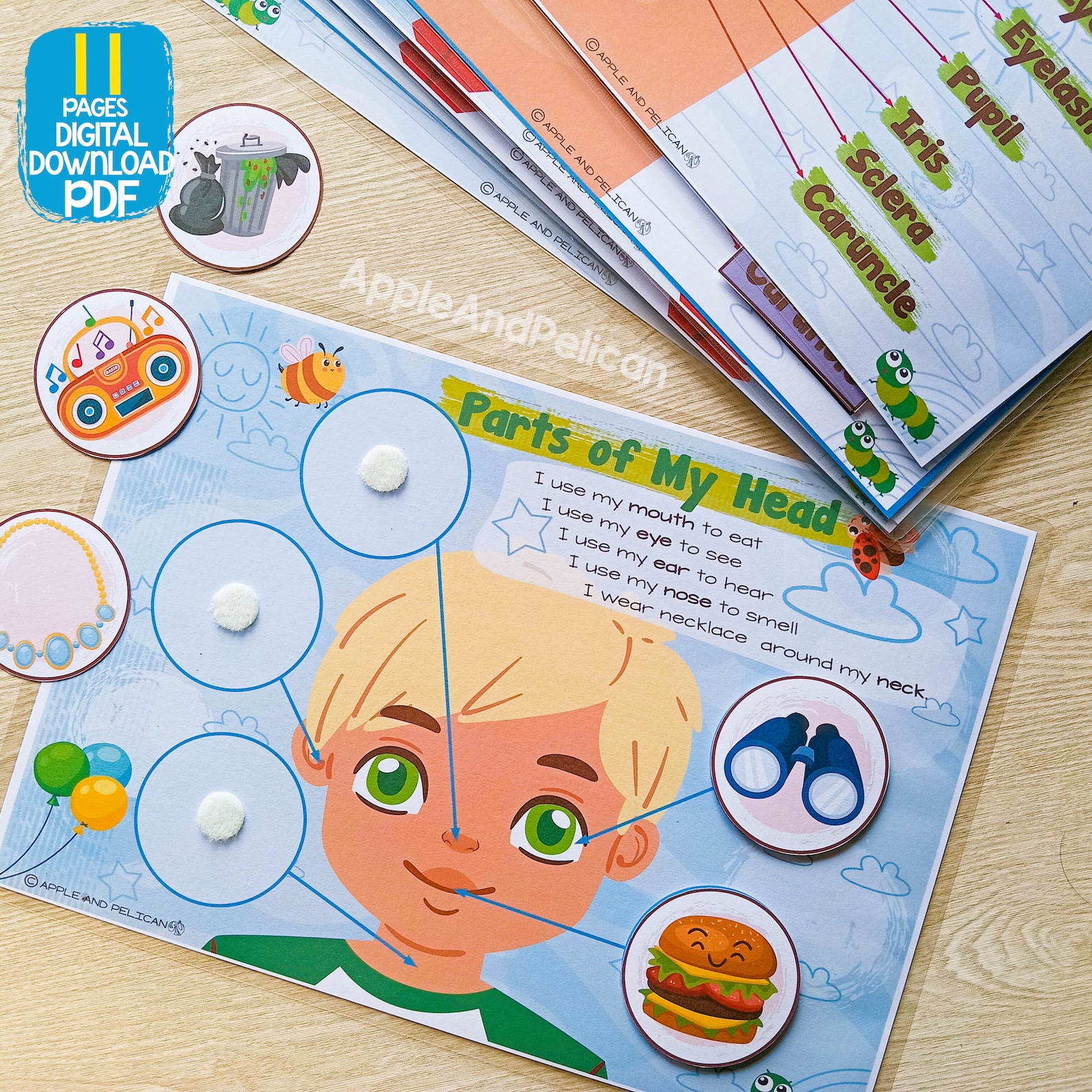 Face Parts Activity Bundle, Boy Part of Face Learning Binder Printable ...