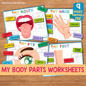 Body Parts Name Matching Learning Game Activity Printable Preschool ...