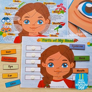 Face Parts Activity, Girl Part of Face Learning Binder, Printable ...
