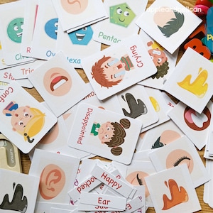 Printable Face Parts Matching Worksheet With Flashcard, Body Parts ...