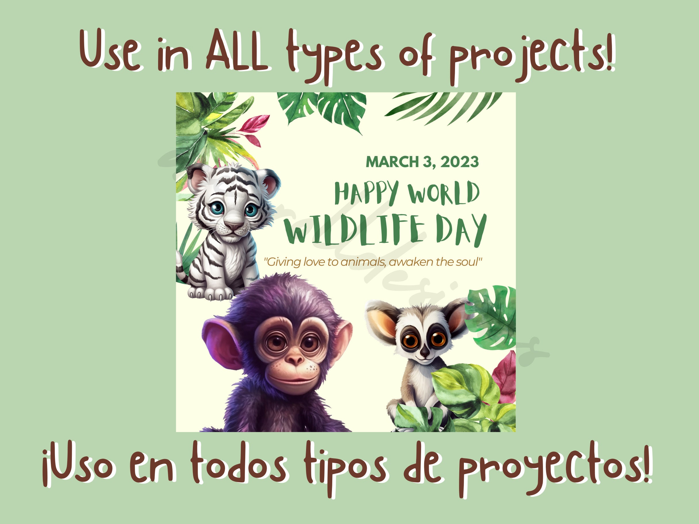 Adorable Animals Jungle Friends Clipart Pack Transparent PNG - Etsy