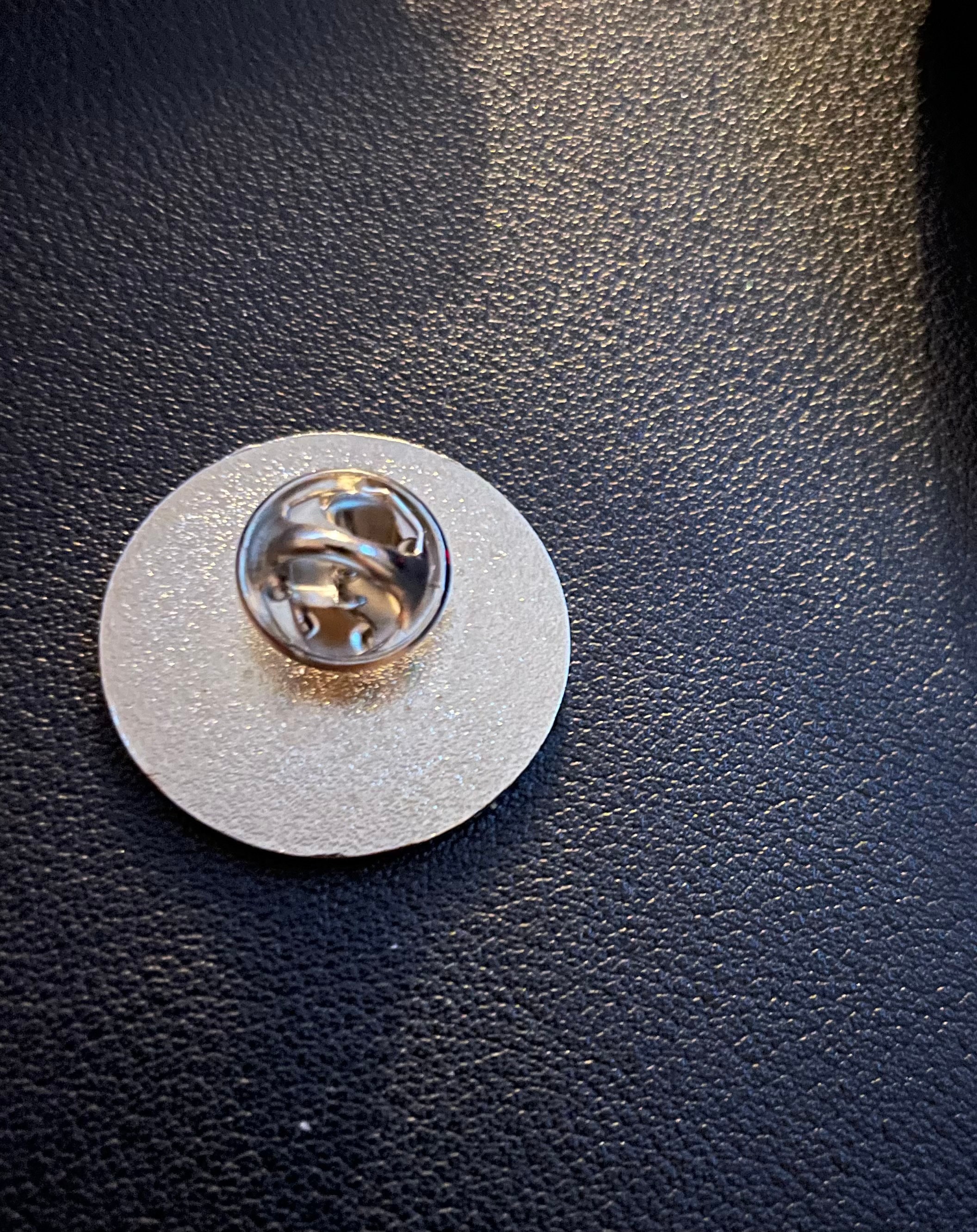 Indigenous Medicine Wheel Pin - Etsy