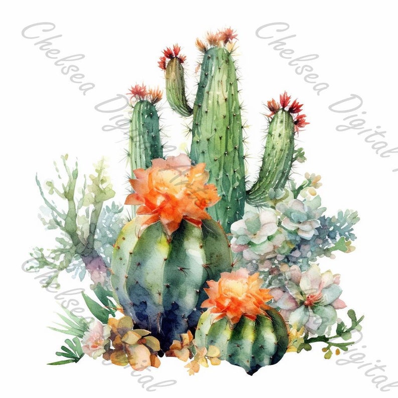 12 Beautiful Desert Cactus Blooms Printable Digital Downloads Cards ...