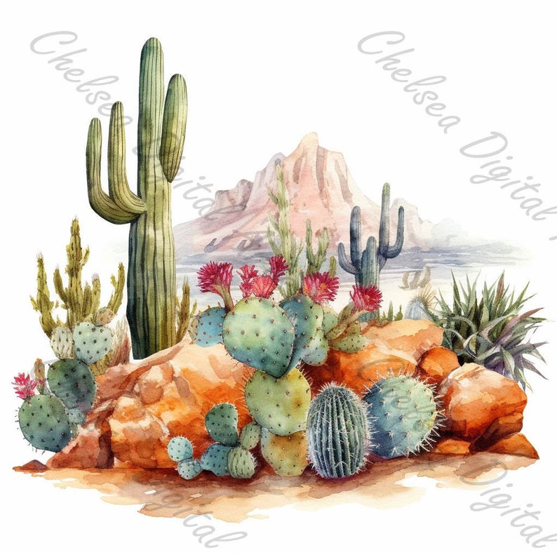 12 Beautiful Desert Cactus Blooms Printable Digital Downloads Cards ...