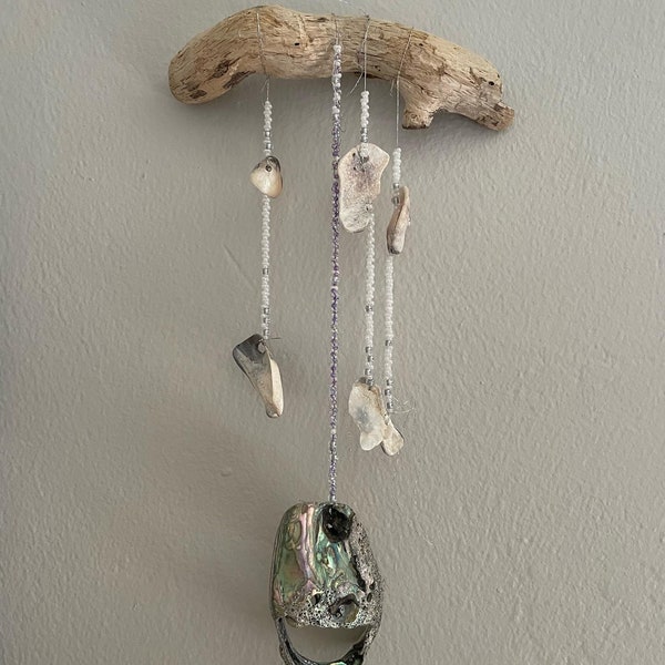 Seashell Wall Decor - Etsy