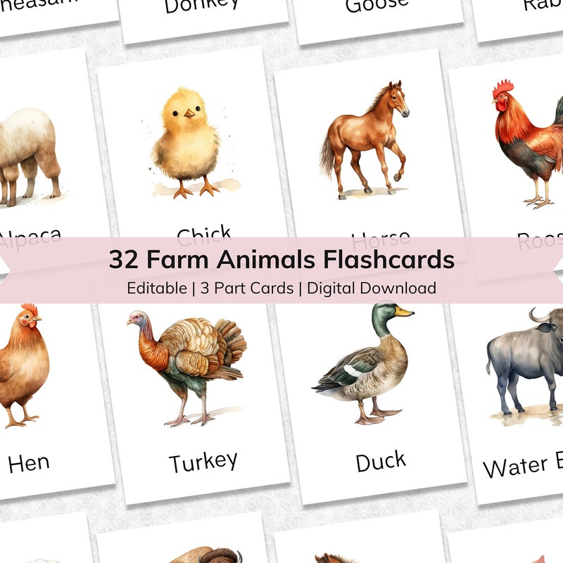 Animal Flash Cards - Etsy
