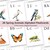 Editable Safari Animals Flashcards for Kids, Montessori Animal Name ...