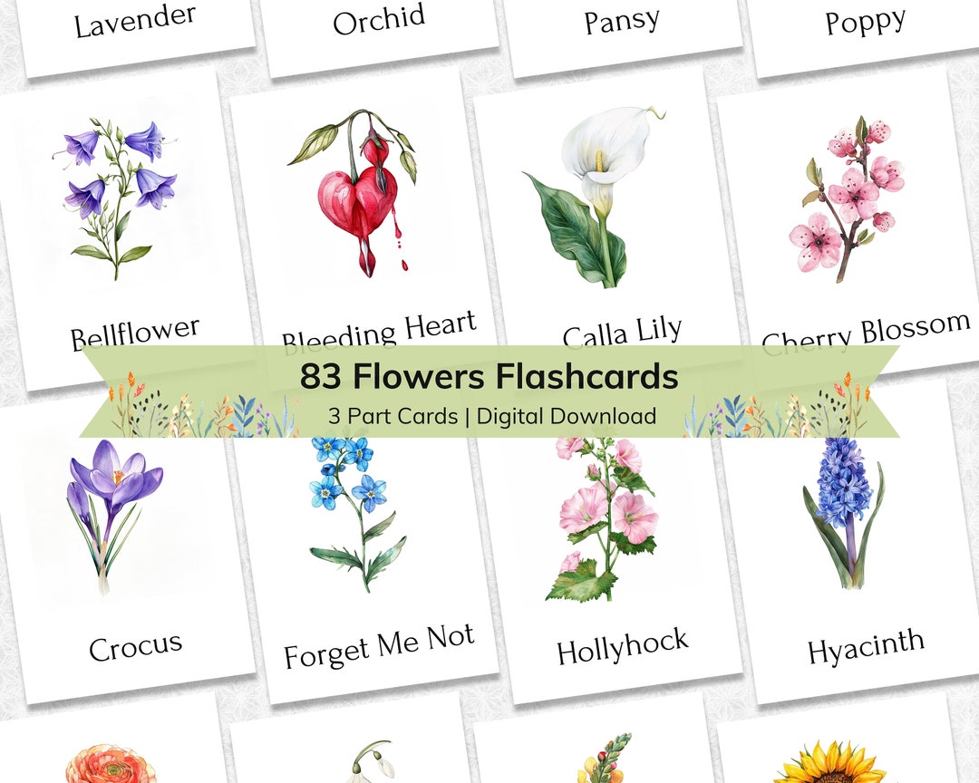Editable Flowers Flashcards for Kids, Montessori Flower Name Learning ...