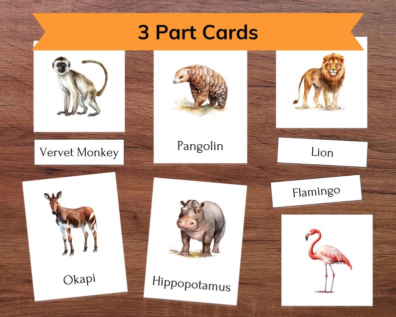 Editable African Animal Montessori 3-part Flashcards for Kids ...