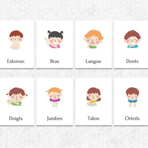 16 French Body Parts Flashcards for Kids, Printable 3 Part Nomenclature ...