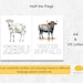 Farm Animal Name Tracing Flashcards: Montessori Letter Activity ...
