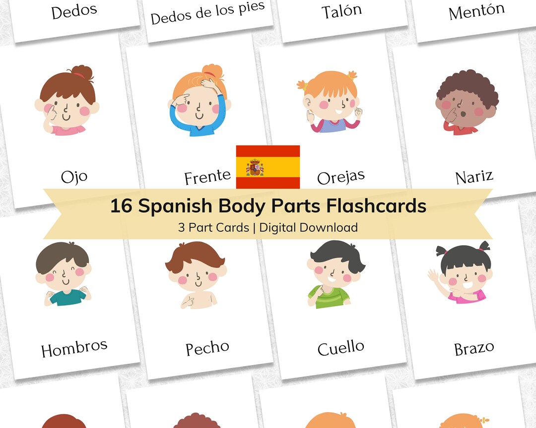 Spanish 16 Body Parts Flashcards for Kids | 3 Part Nomenclature ...