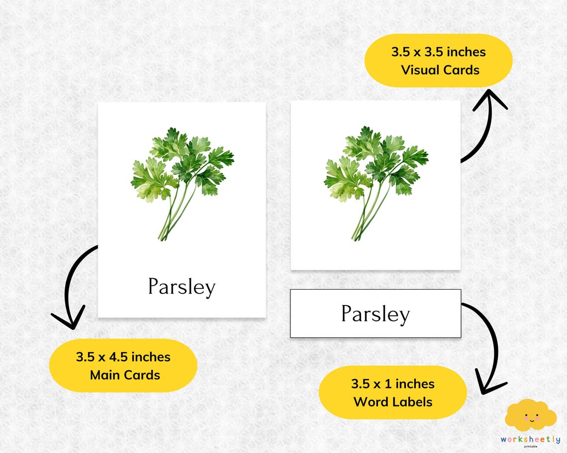 Herb Montessori Flashcards: Watercolor 3-part Cards (digital Download ...
