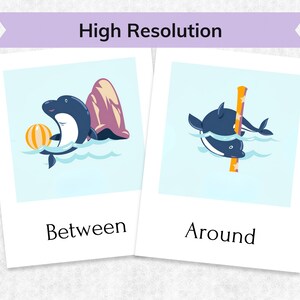 Learn Prepositions With Fun Dolphin Themed Flashcards for Kids ...