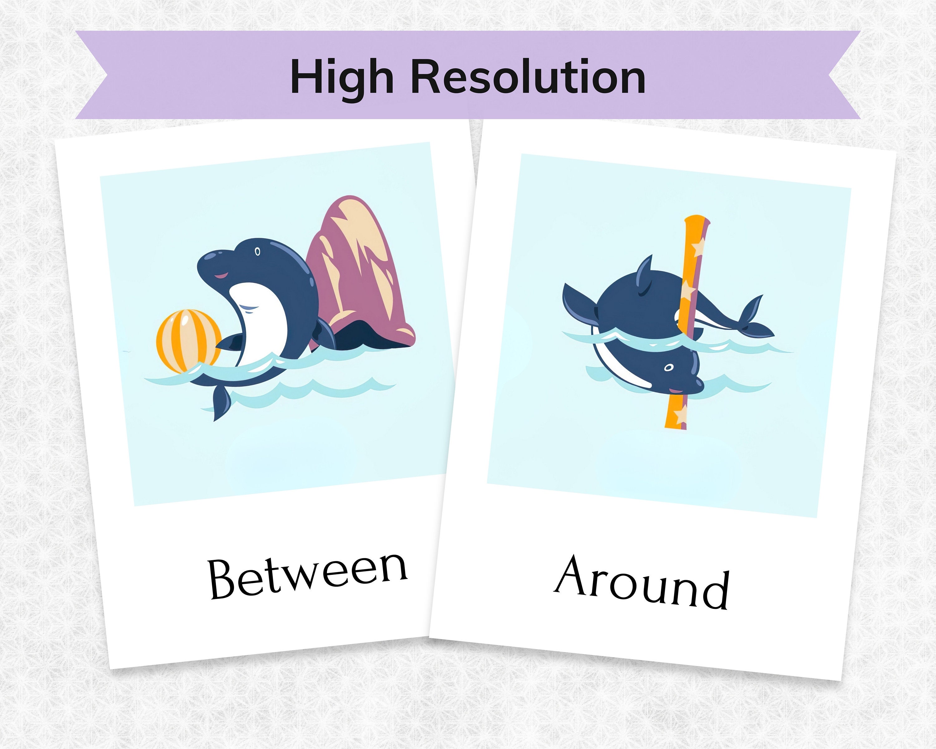 Learn Prepositions With Fun Dolphin Themed Flashcards for Kids ...