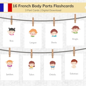 16 French Body Parts Flashcards for Kids, Printable 3 Part Nomenclature ...