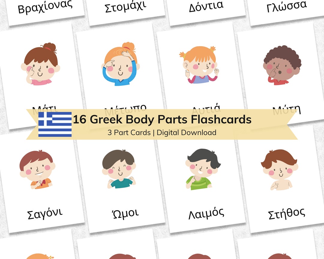 16 Greek Body Parts Flashcards for Kids | Educational 3 Part ...