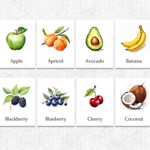 Editable Fruits Flashcards for Kids | Educational 3 Part Nomenclature ...