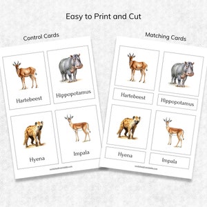 Editable Safari Animals Flashcards for Kids, Montessori Animal Name ...