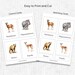Editable Safari Animals Flashcards for Kids, Montessori Animal Name ...