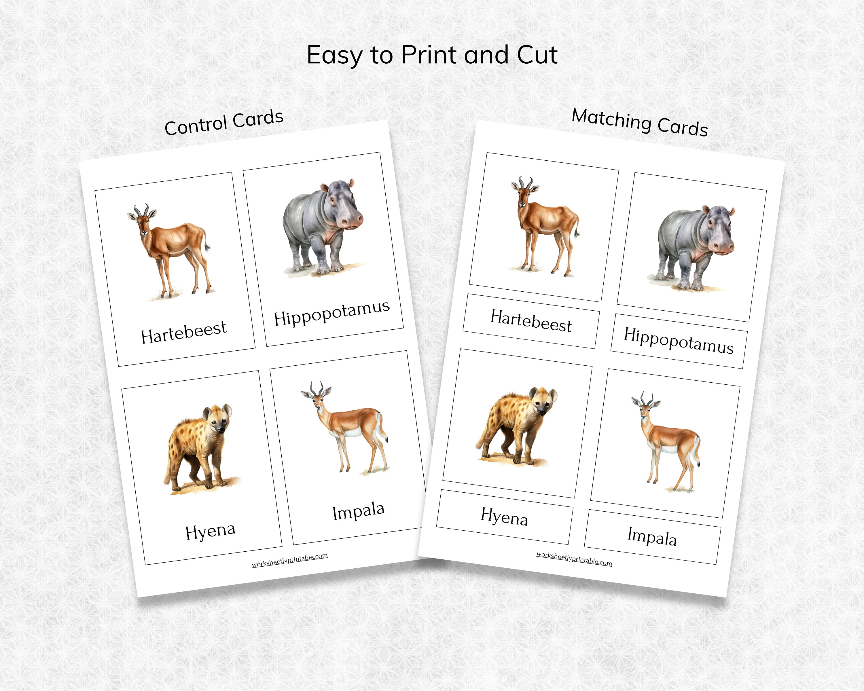 Editable Safari Animals Flashcards for Kids, Montessori Animal Name ...