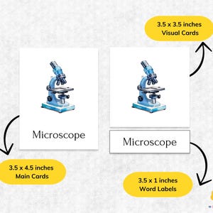Editable School Supplies Flashcards for Kids, Printable 3 Part ...