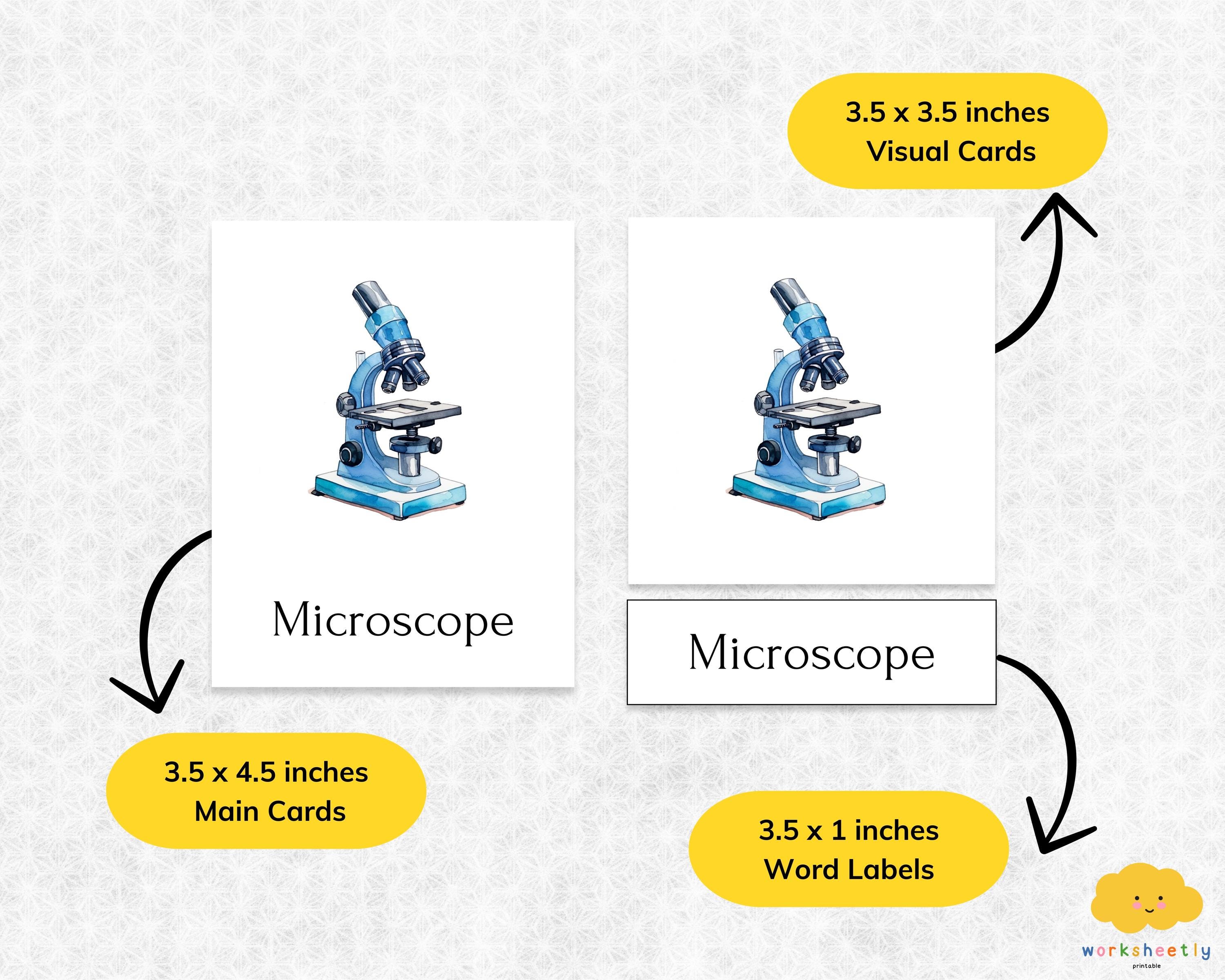 Editable School Supplies Flashcards for Kids, Printable 3 Part ...