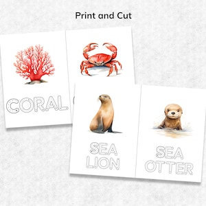 Ocean Animal Name Tracing Flashcards for Kids, Printable Montessori ...
