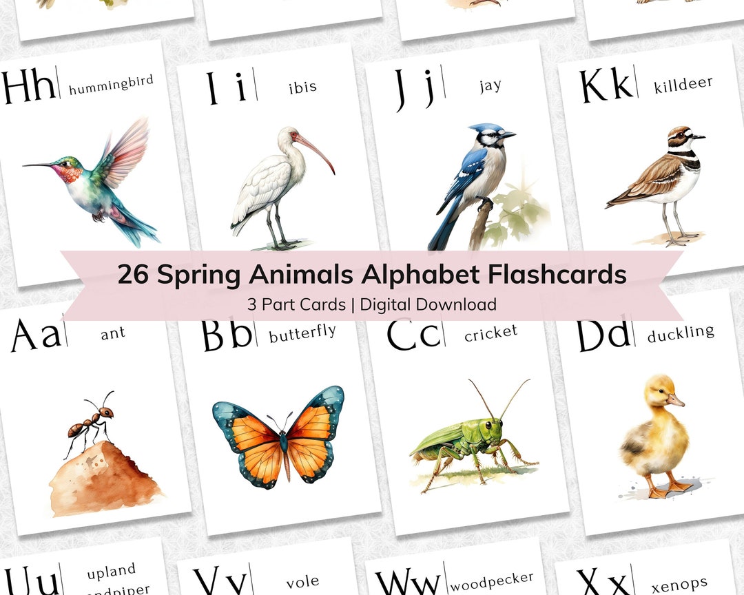 Spring Animals Alphabet Flashcards for Kids | Spring Animals Name, ABC ...