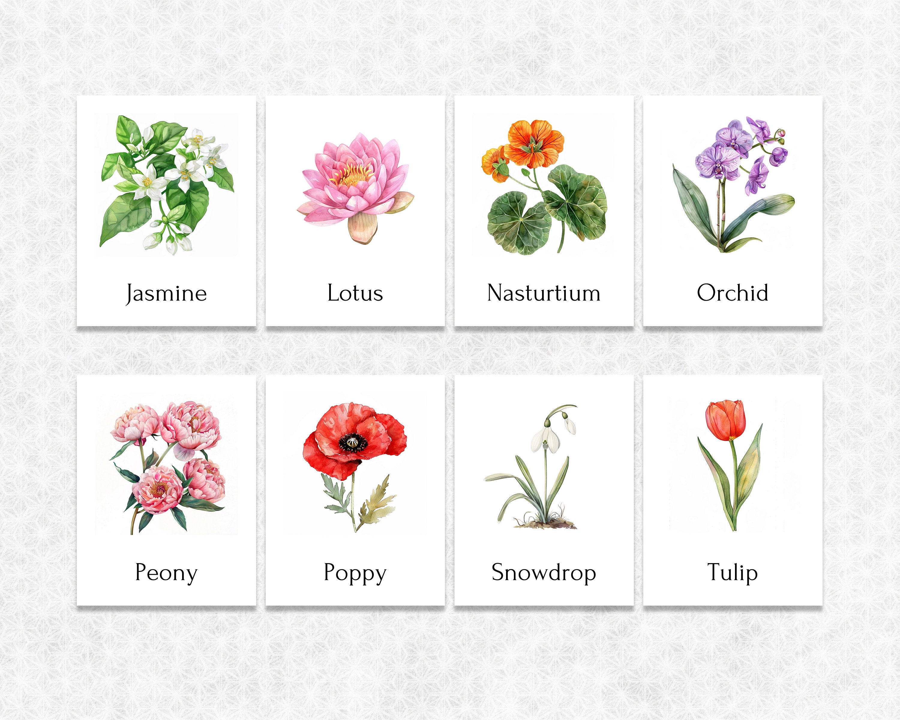 Editable Flowers Flashcards for Kids, Montessori Flower Name Learning ...