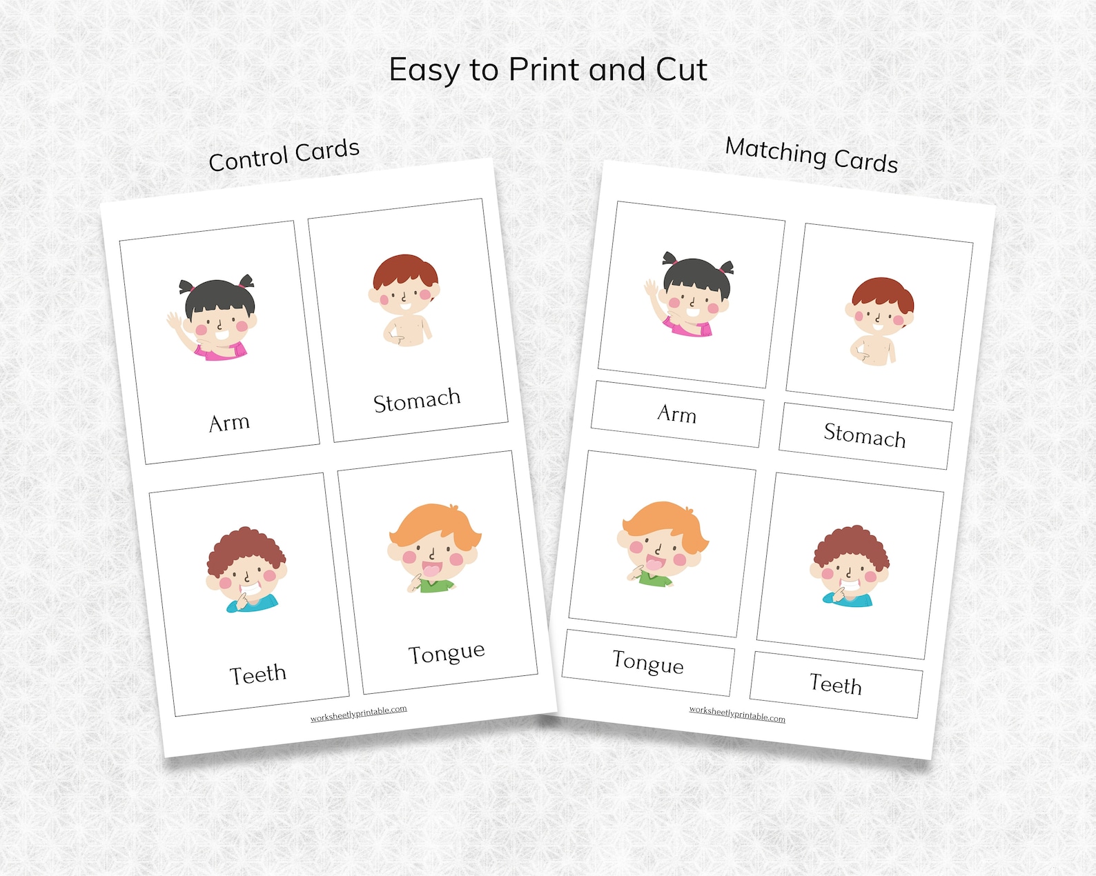 16 Body Parts Flashcards for Kids Learning Body Parts 3 Part ...