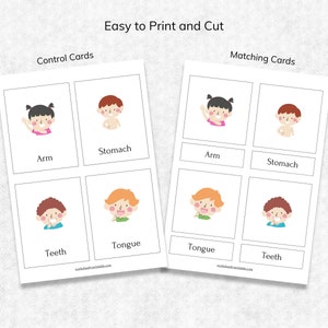 16 Body Parts Flashcards for Kids | Learning Body Parts 3 Part ...