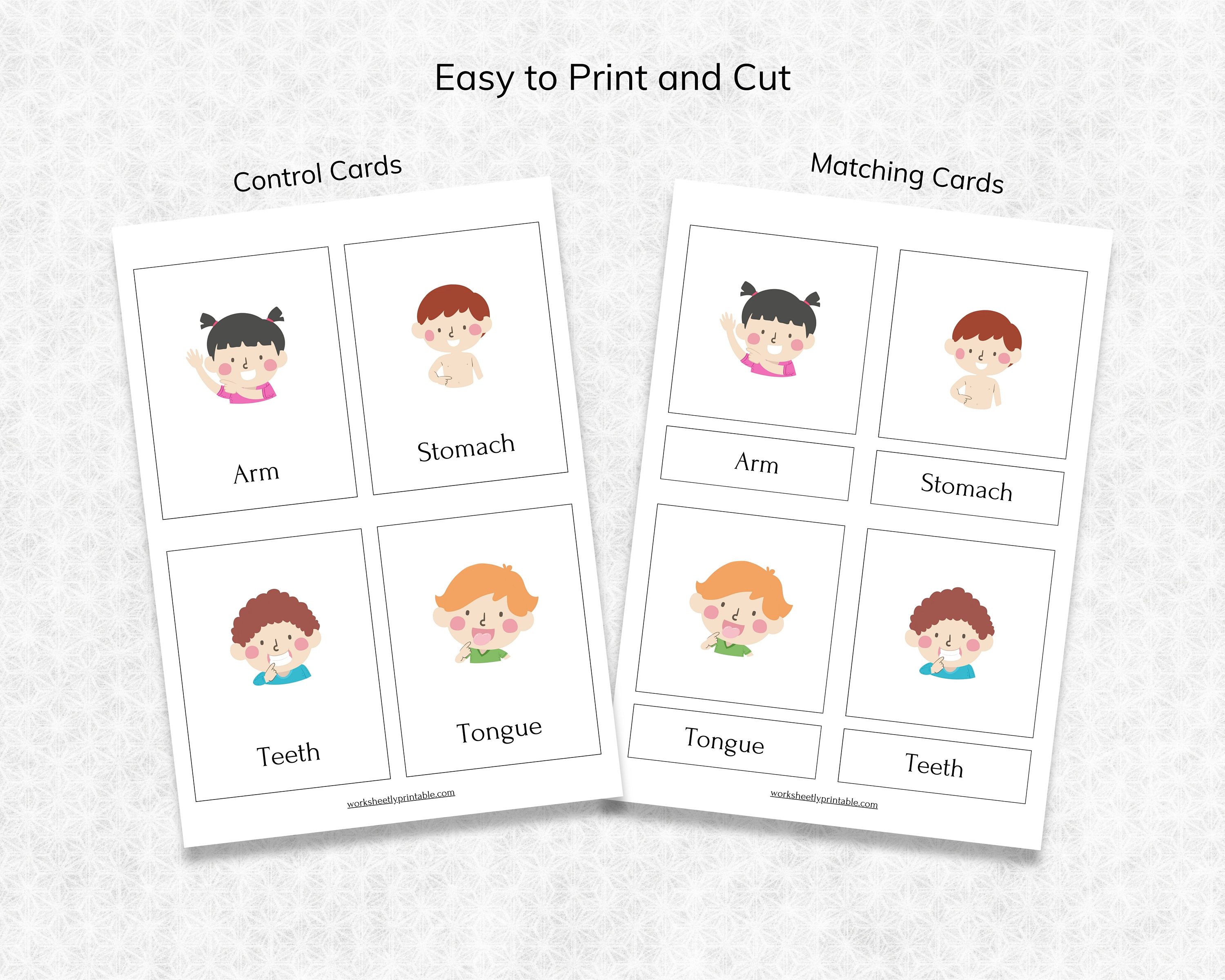 16 Body Parts Flashcards for Kids Learning Body Parts 3 Part ...