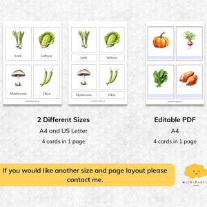 Editable Vegetables Flashcards for Kids | Educational 3 Part ...