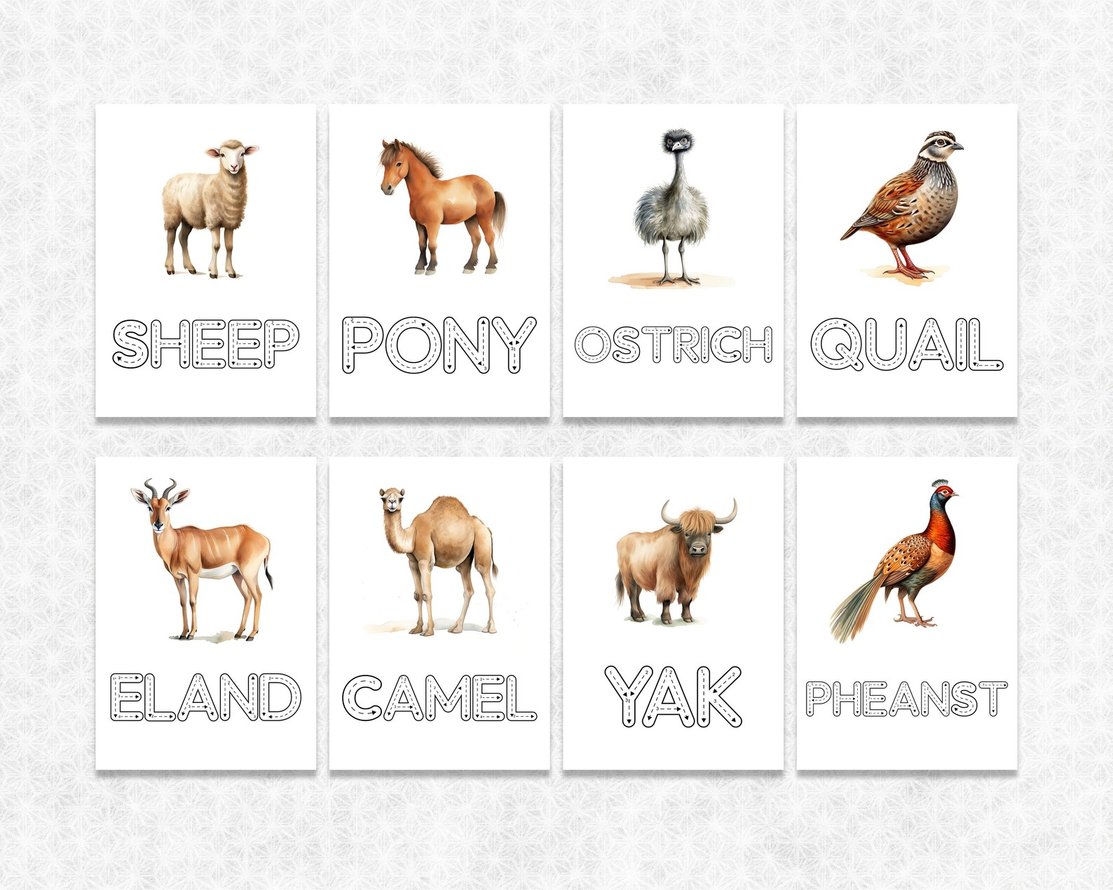 Farm Animal Name Tracing Flashcards for Kids, Printable Montessori ...