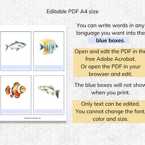 Ocean Animals Flashcards: Montessori 3-part Cards (digital Download) - Etsy
