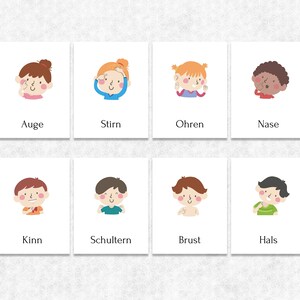 16 German Body Parts Flashcards for Kids | Educational 3 Part ...