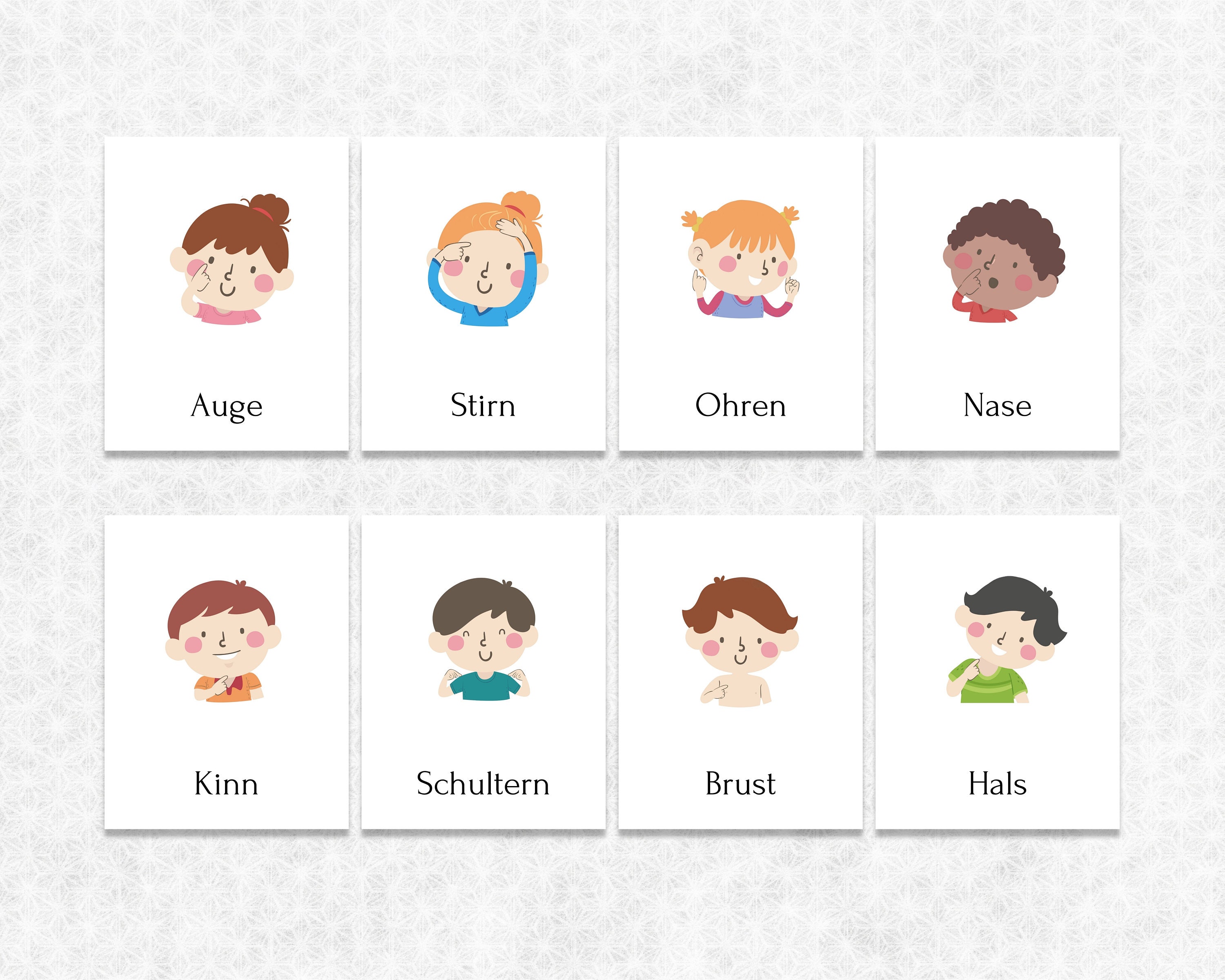 German Body Parts Flashcards: Montessori Learning (digital Download) - Etsy