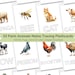 Farm Animal Name Tracing Flashcards for Kids, Printable Montessori ...