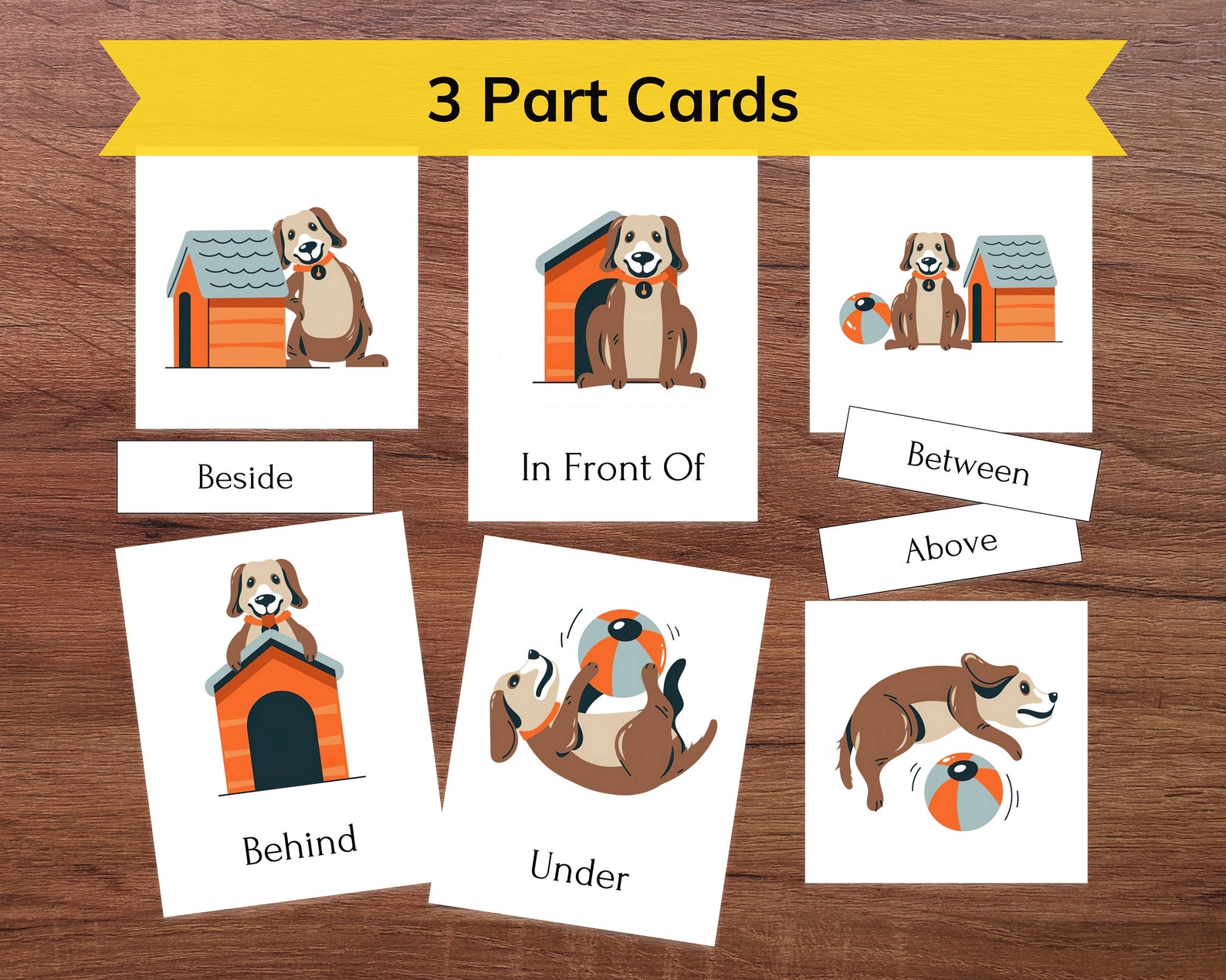 Dog Preposition Flashcards: Montessori Learning (digital Download) - Etsy