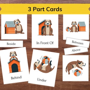 Dog Preposition Flashcards: Montessori Learning (digital Download) - Etsy