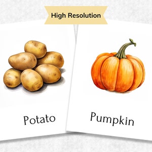 Editable Vegetables Flashcards for Kids | Educational 3 Part ...