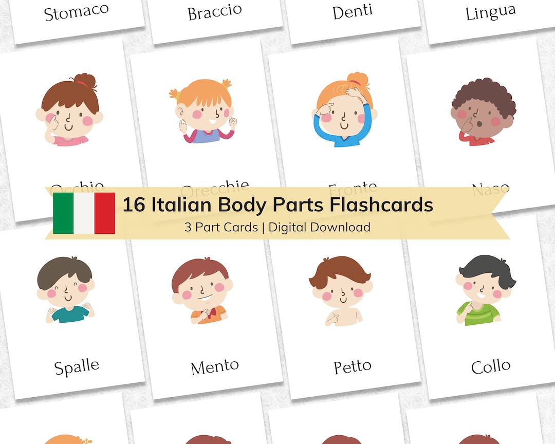 16 Italian Body Parts Flashcards for Kids | Body Parts Educational 3 ...
